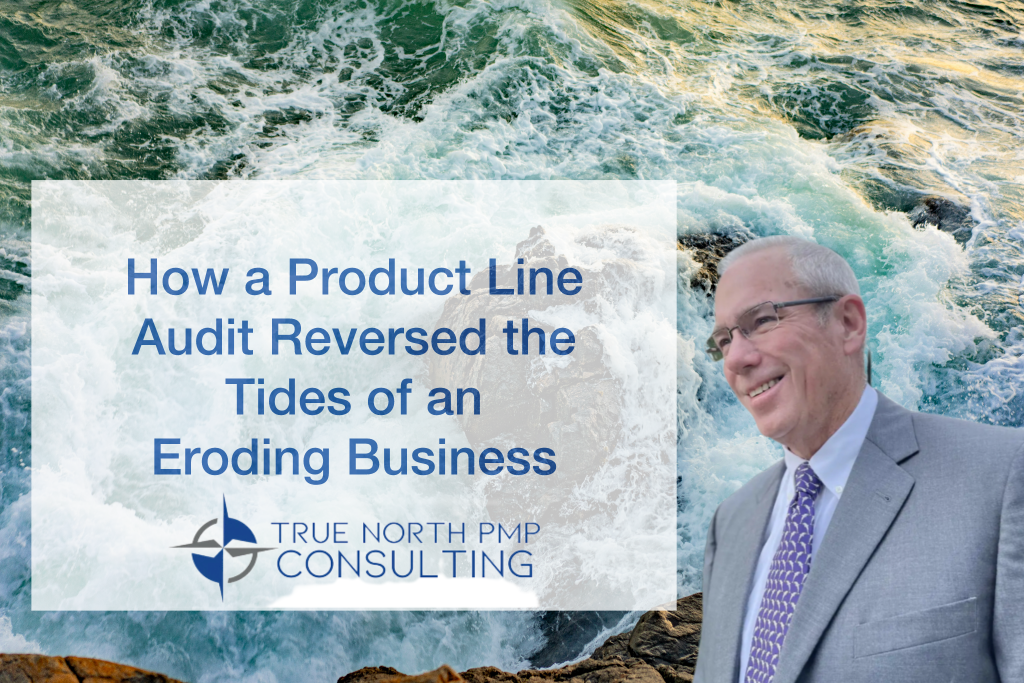 How a Product Line Audit Reversed the Tides of an Eroding Business ...